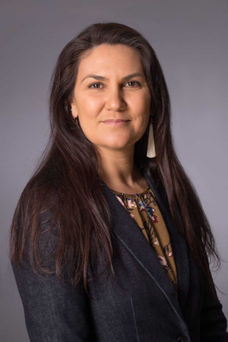 SNAHC CEO NAMED CALIFORNIA PRIMARY CARE ASSOCIATION CHAIR-ELECT ...